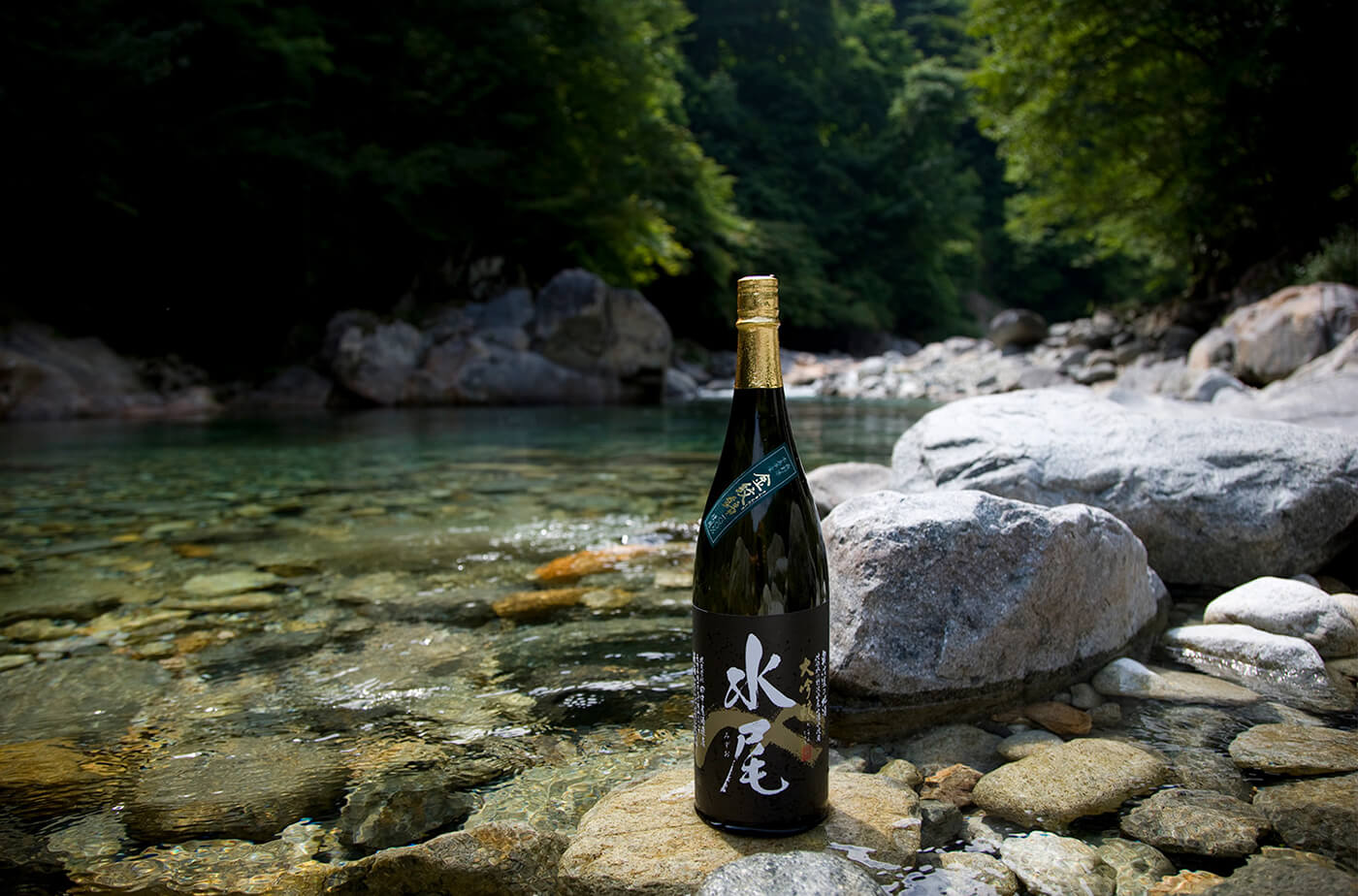 What kind of sake brand is Mizuo?水尾 | Sakelive